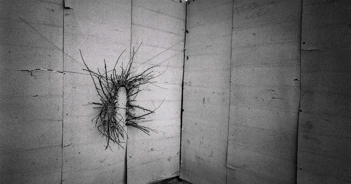 Artist Interview: Andrés Mario de Varona | form & concept gallery